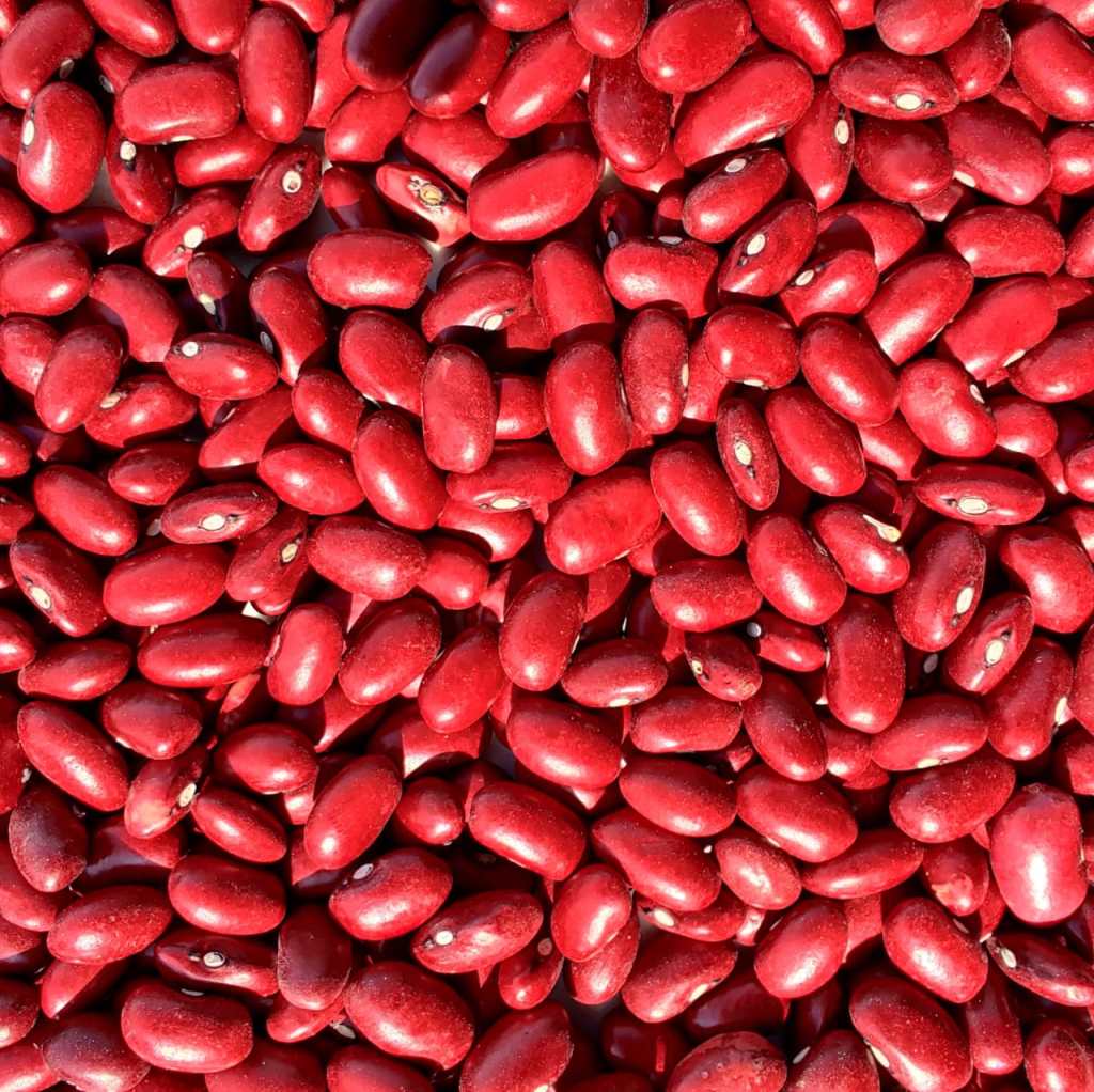 Rajma – varieties explained – Tons Valley Shop