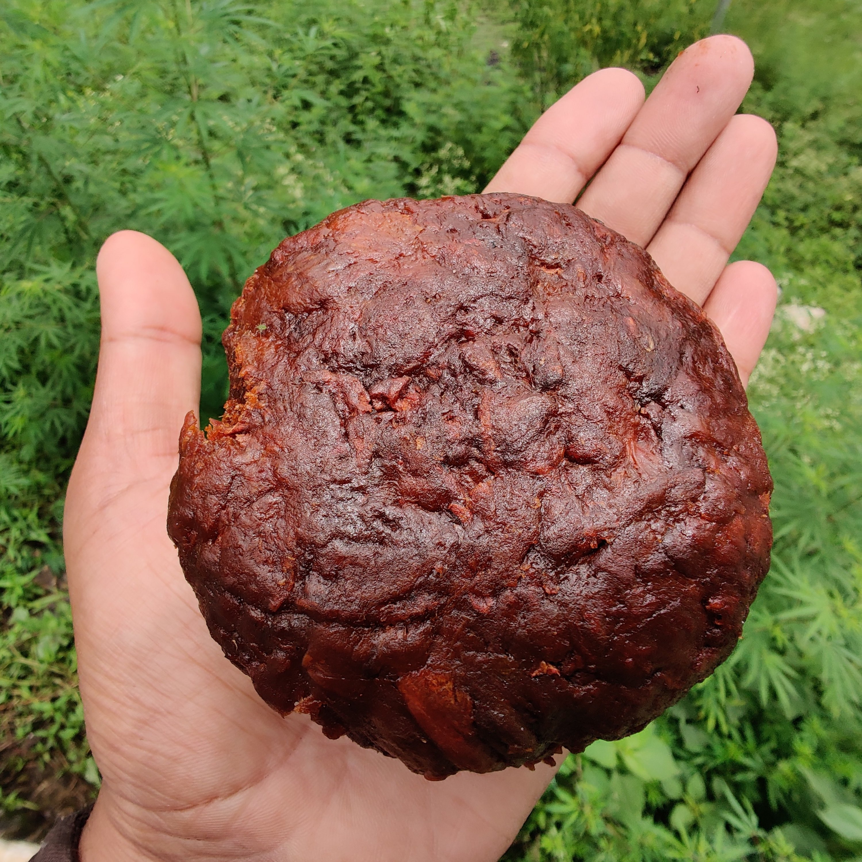 250 GM | Dried Wild Apricot Pulp | Chulondh – Tons Valley Shop