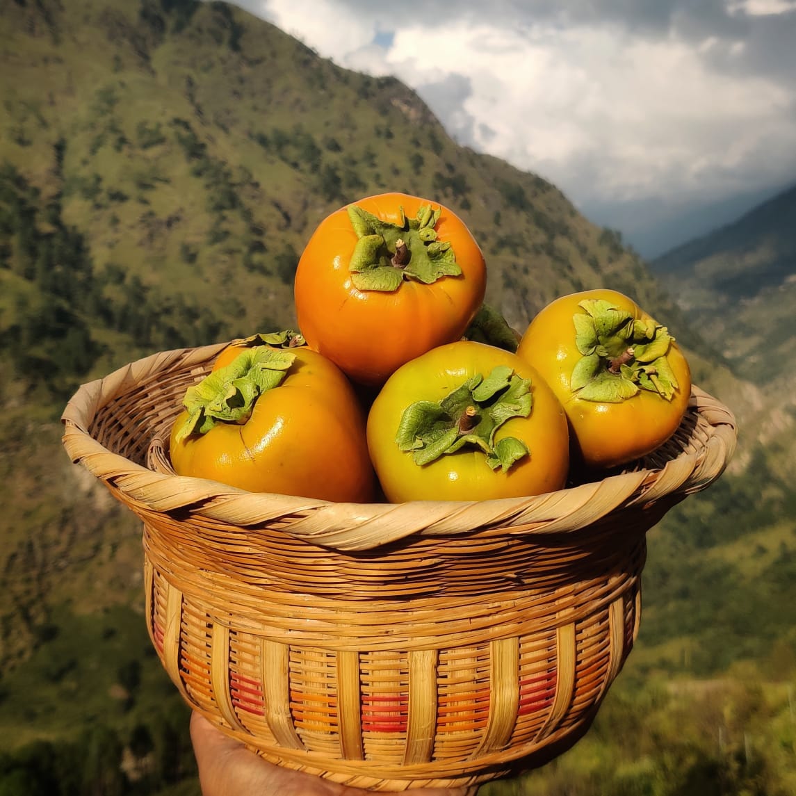 Organic Persimmons | Premium Air Shipping | Tons Valley Shop