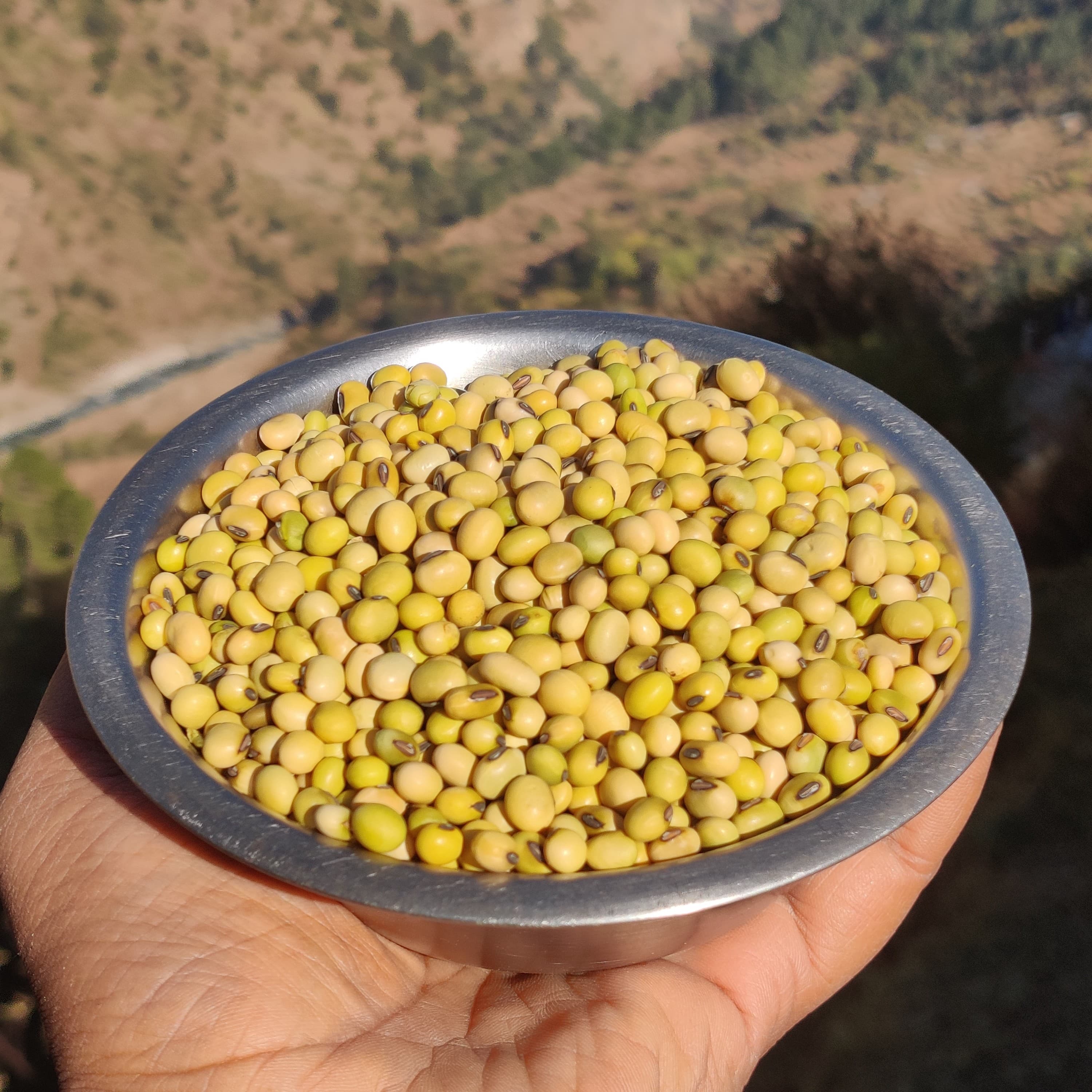 1 KG Single Packs | Organic Pahadi Dal / Pulses | Tons Valley Shop