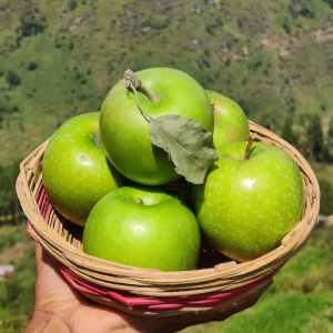 Granny Smith Apples – Tons Valley Shop